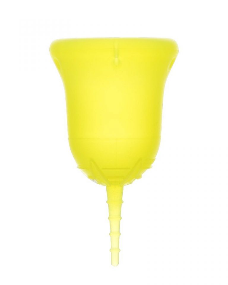 ᐅ Sckoon Cup im Test & Vergleich • Erfahrungen mit dem Sckoon Cup